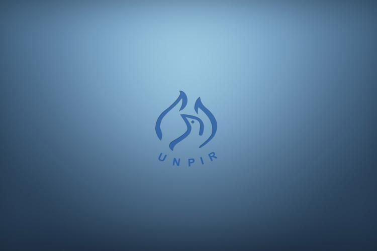 Uniunea Nationala a Practicienilor in Insolventa